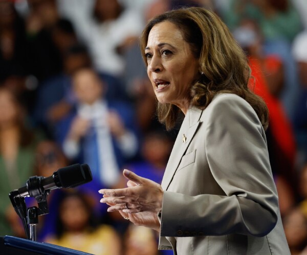 Harris Allies Worry She's Seen as Weaker on the Economy | Newsmax.com
