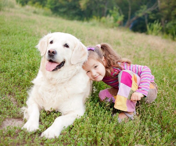 Study Reveals Unique Bond Between Dogs and Kids | Newsmax.com