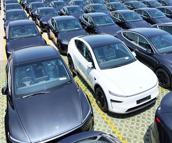 Tesla to Delay US Launch of Lower-Cost Model Y | Newsmax.com