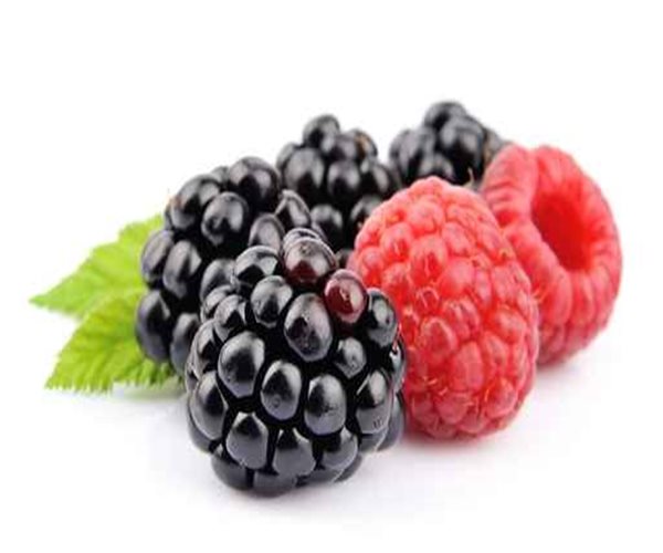 Blackberries and Raspberries Offer Big Health Benefits | Newsmax.com