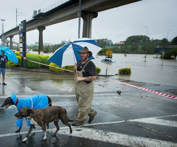 Cyclone Debbie Brings Sharks, Floods to Queensland Coast | Newsmax.com
