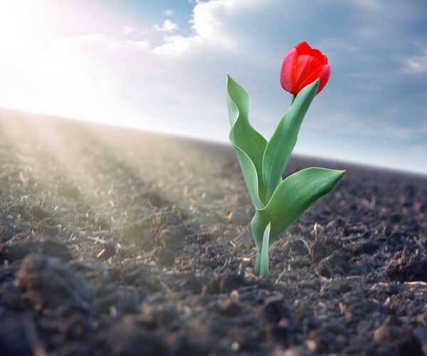 Facing Extinction: 1 in 5 Plants Species Highlighted in Global ...