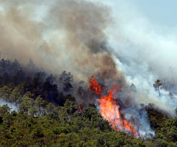 France Wildfires Spark Evacuation of 12,000 in 3 Riviera Towns ...