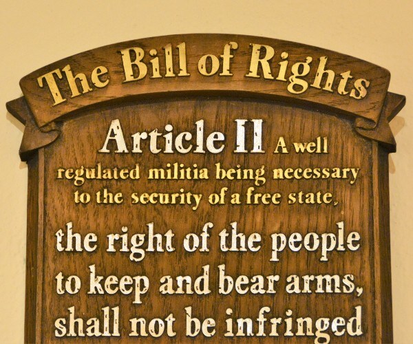Pro-life Victory, 2nd Amendment Defeat Prove DC Still the Swamp ...