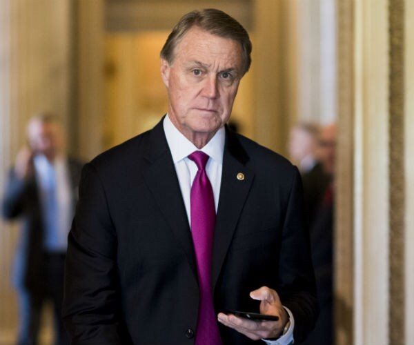 Georgia Results a Boost to GOP Sen. David Perdue in 2020 | Newsmax.com
