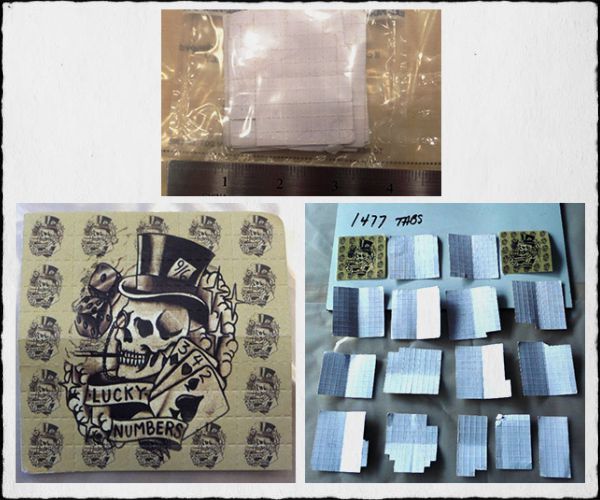 DEA Warning: Elephant Tranquilizer Showing Up in Street Drugs | Newsmax.com