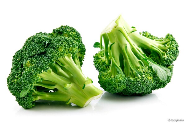 Broccoli Obama's Favorite Food? Disbelief Revives Broccoligate ...