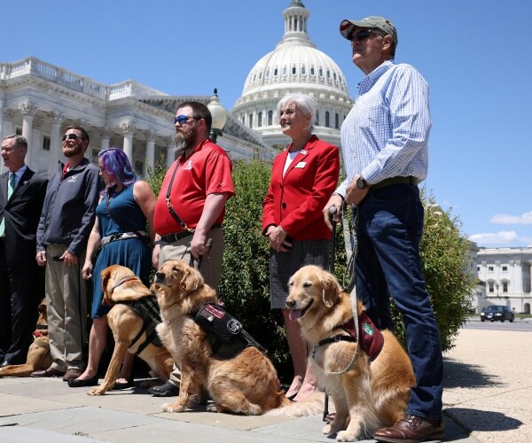 Struggling Veterans Get Help From Congress, Service Dogs | Newsmax.com