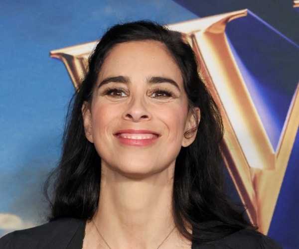 Sarah Silverman Sues Meta, OpenAI | Newsmax.com