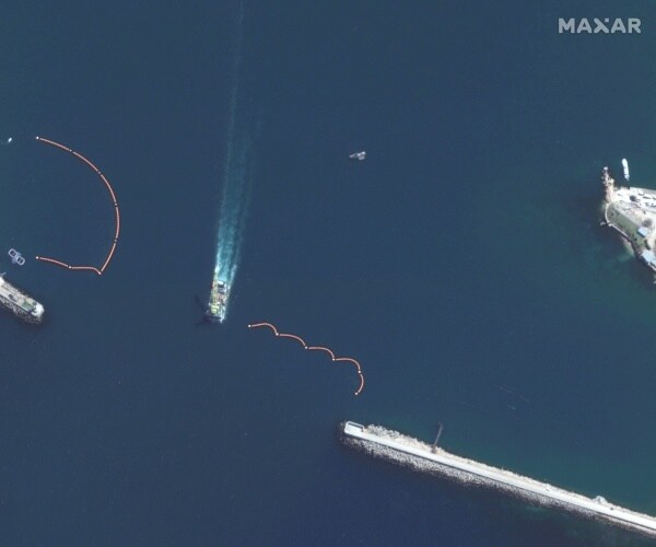 Russian Navy Deploys Trained Dolphins to Guard Naval Base in Black Sea ...